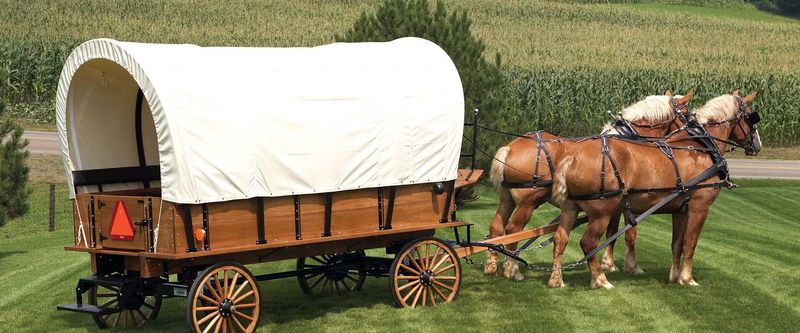 Parade & Trail Wagons | Weaver Wagons - Custom Wagon Builder in Dalton, OH