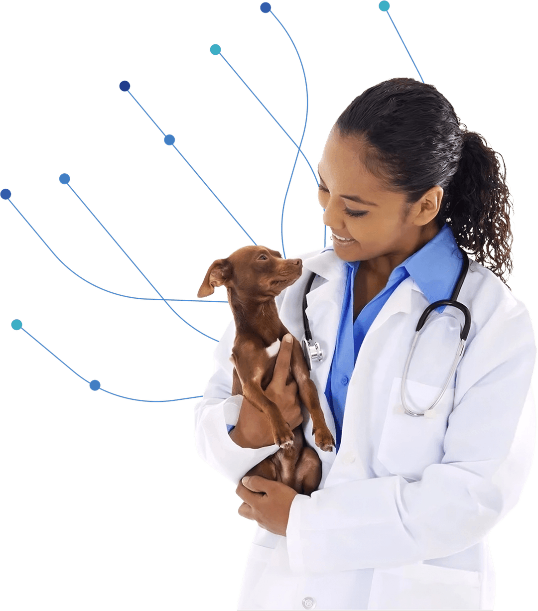 Veterinary Services | Cambridge PetTech