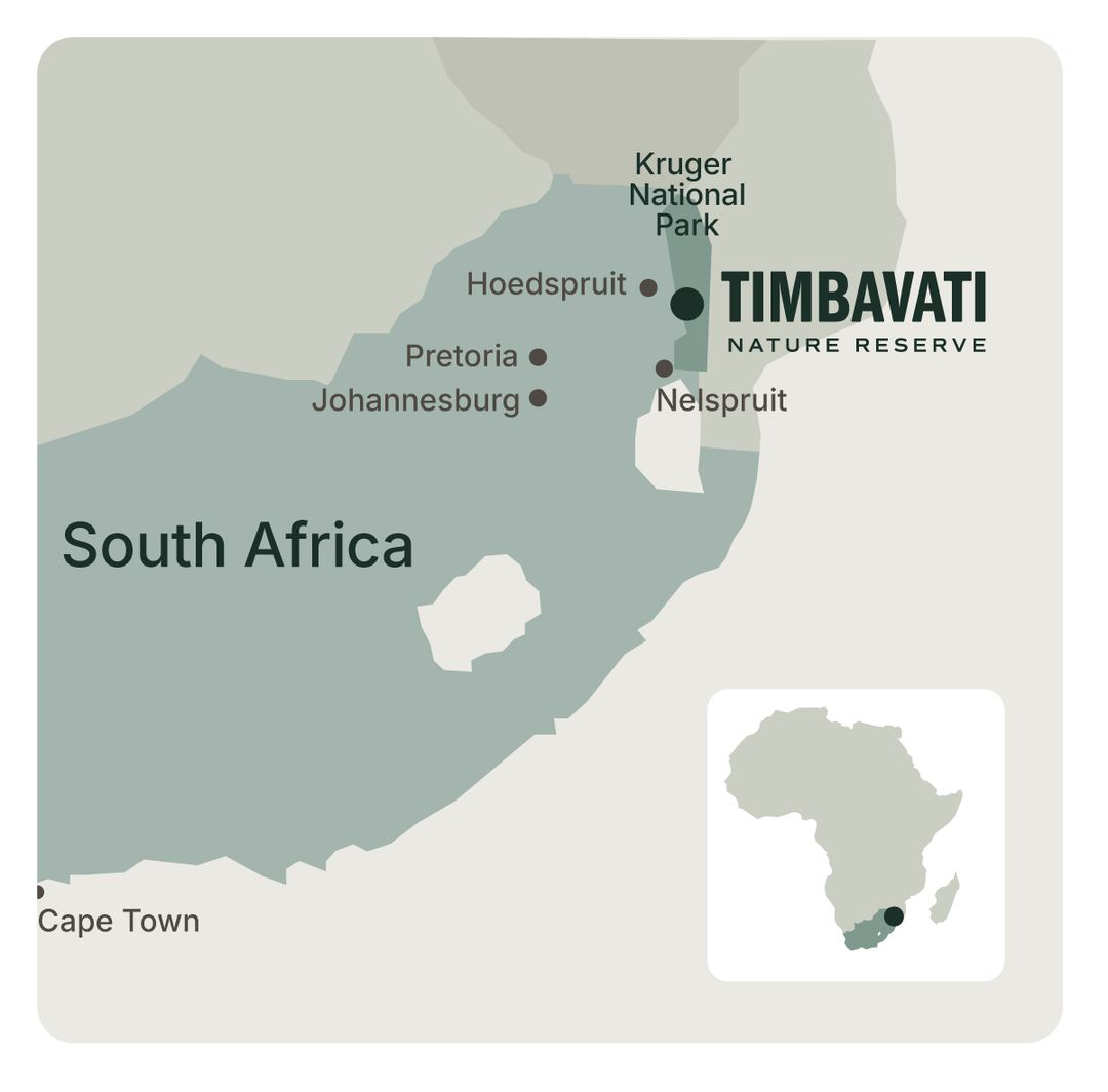 Getting Here | Timbavati Nature Reserve