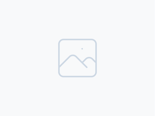 Best Denmark Cruises for 2026 & 2027 | Compare prices and find deals
