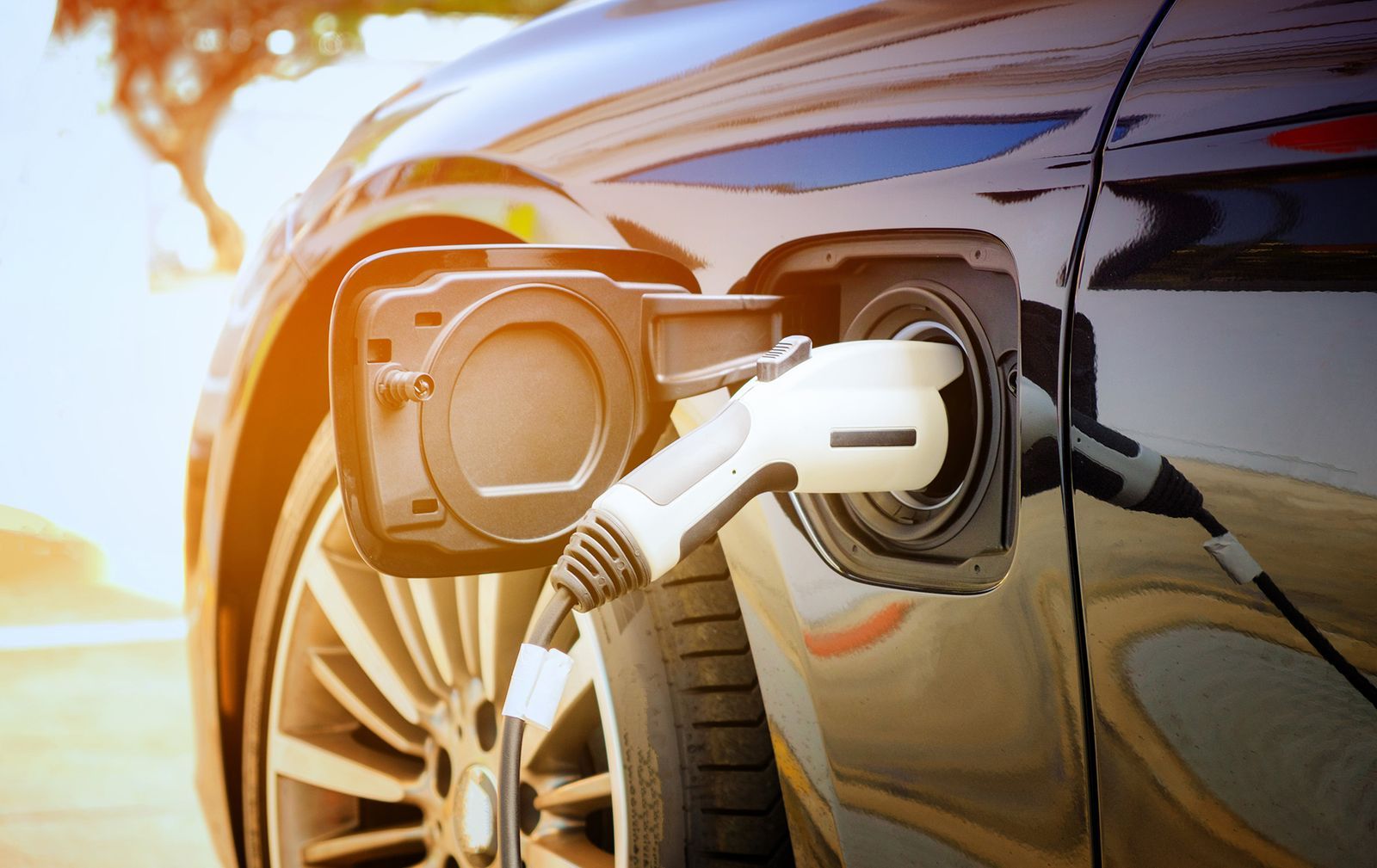 About Us - EV Charging Solutions for Businesses & White-Label EV ...