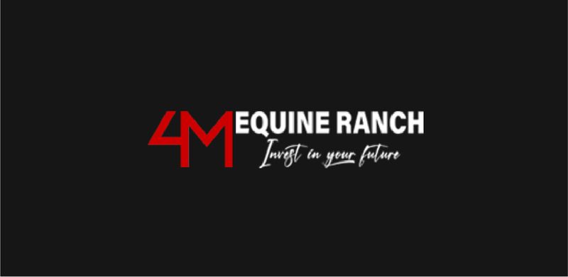 Fire Water Flit | Stallion Details | 4M Equine Ranch