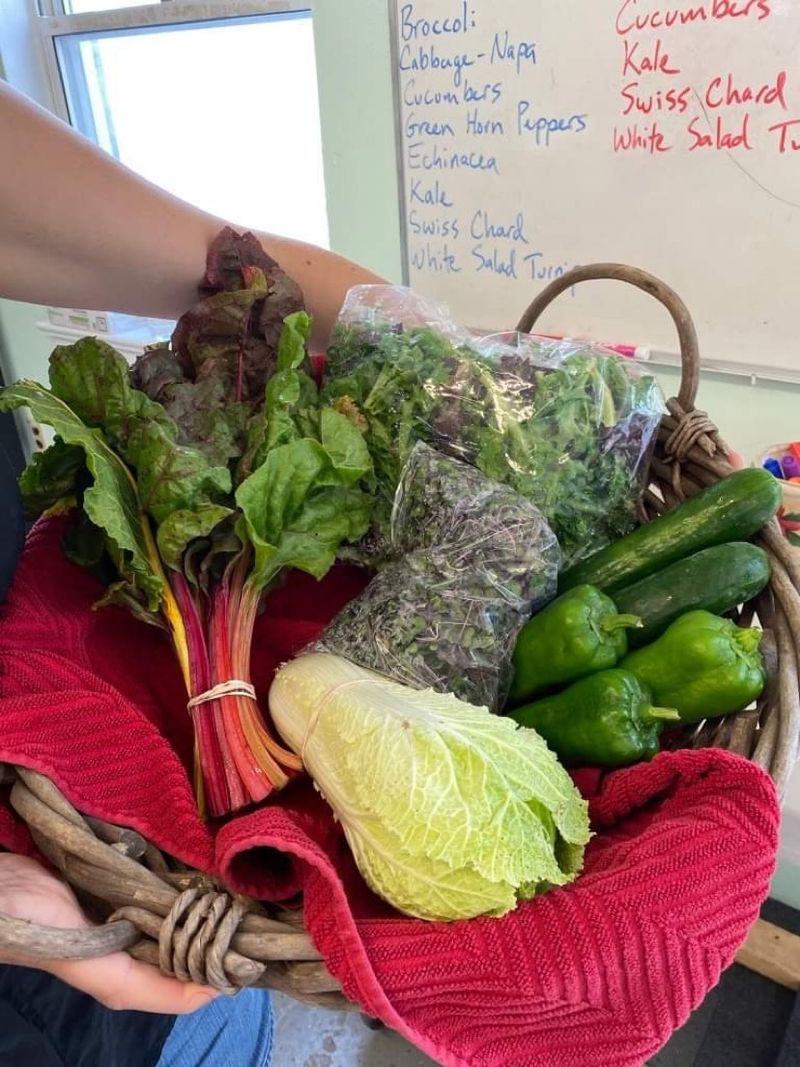Living Hope Farm | Certified Naturally Grown Produce from Harleysville, PA