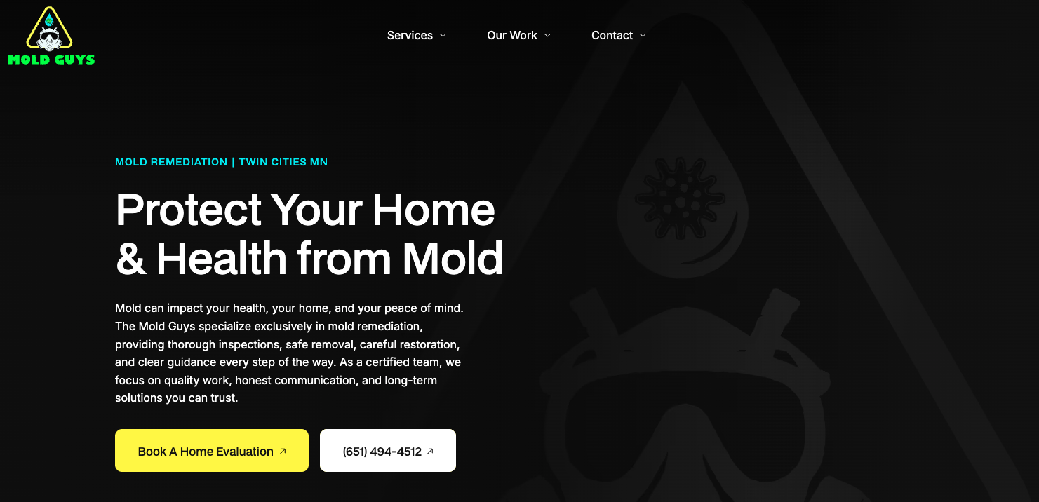 Mold Guys MN | Twin Cities Mold Remediation