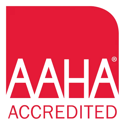 High-Quality Vet Hospital in Miami, FL | Country Club Animal Hospital