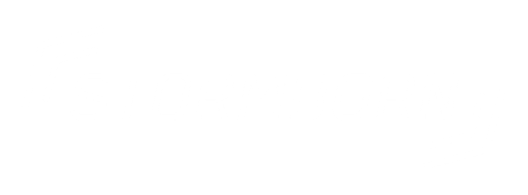 Stormborn | Autonomous Maritime Protection & Offshore Surveillance