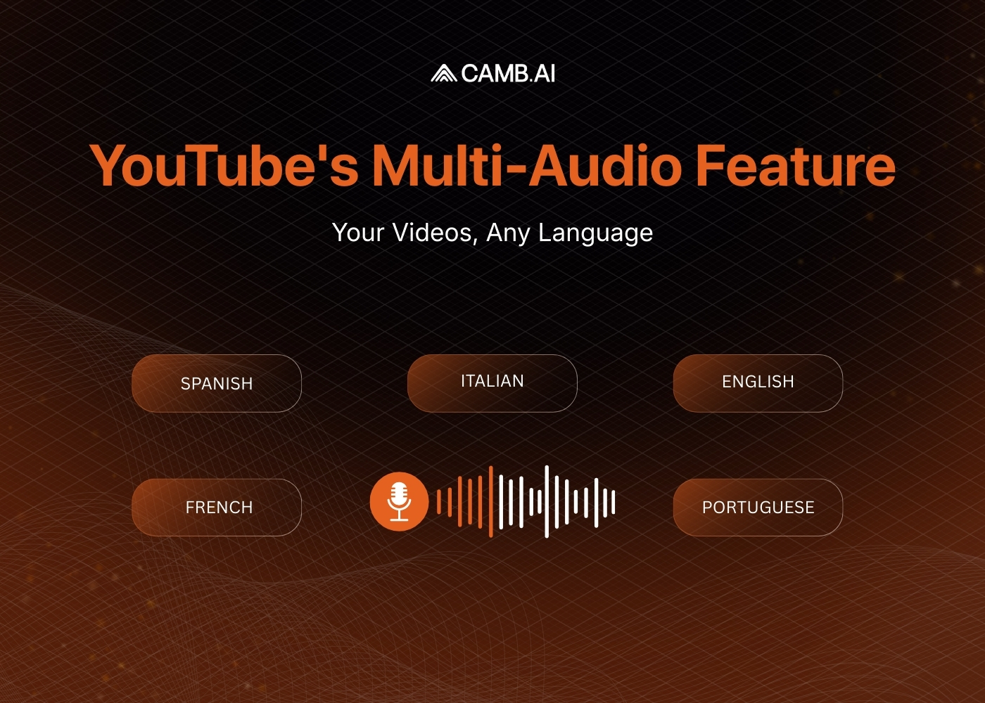 YouTube's Multi-Audio Feature: Videos in Any Language