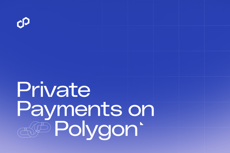 Stablecoin Payments for Enterprise: A Practical Guide | Polygon