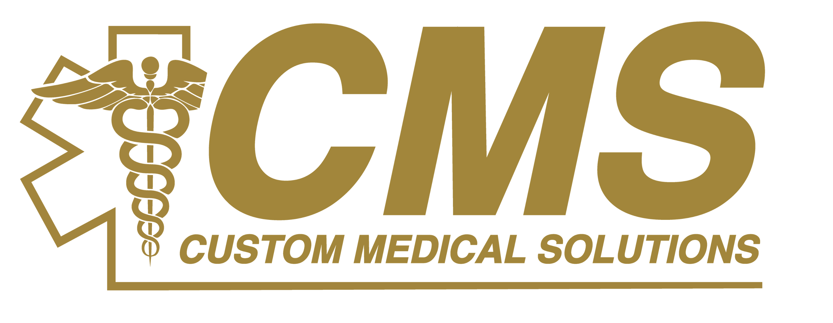 Emergency & Medical Transport in Illinois | Northwest Rescue