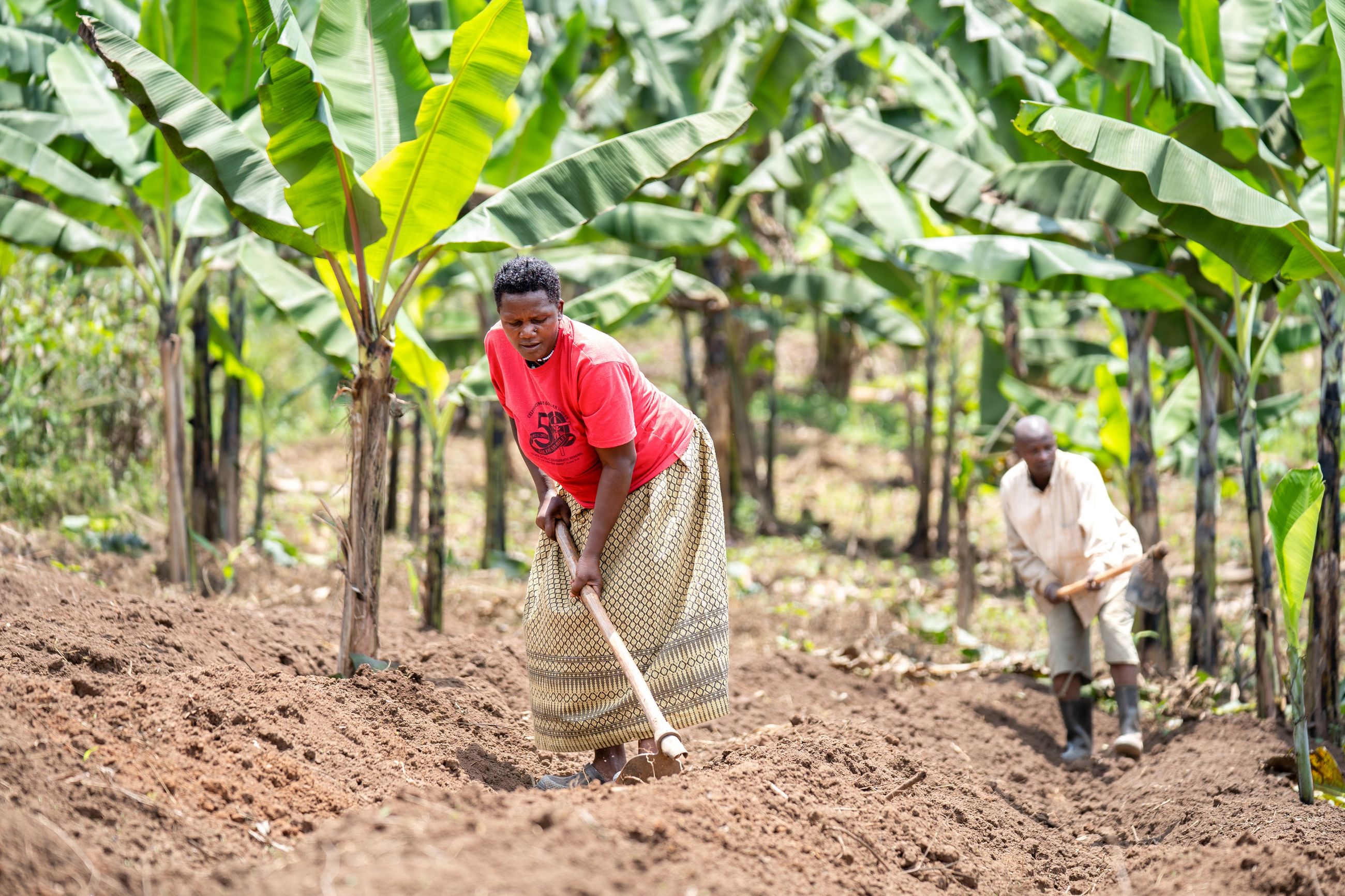 A village-wide program designed for high impact at low cost | Raising ...