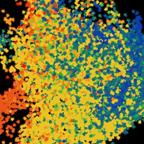 Richard Ellenbogen | Allen Institute