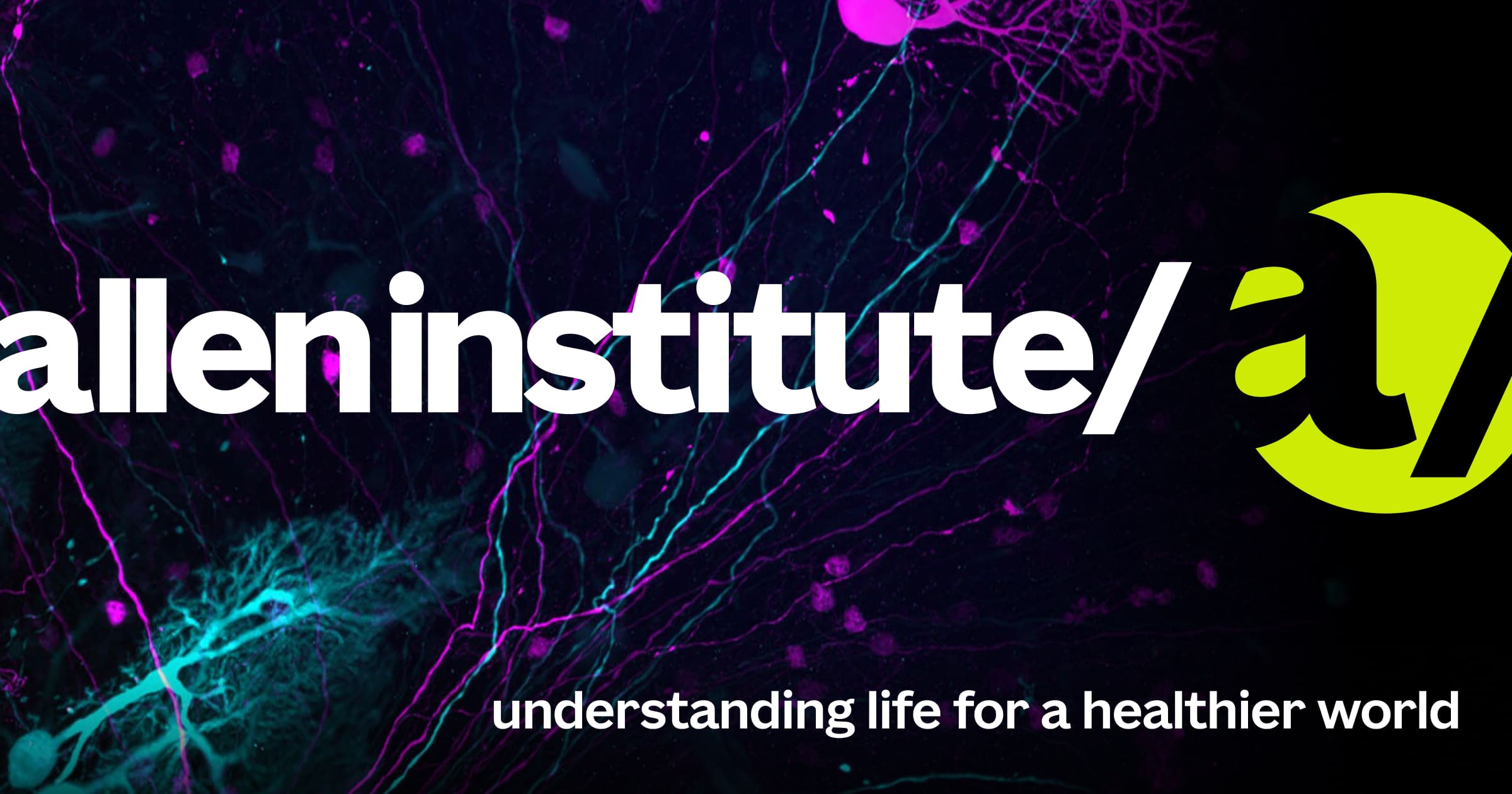 Education Resources | Allen Institute