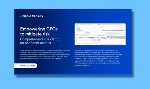 Understanding Balance Sheet Exposures | Ripple Treasury