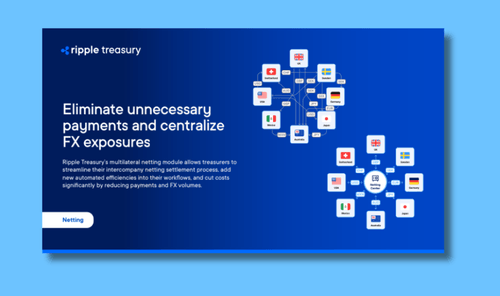 Intercompany Netting Software | Cut FX Transaction Costs