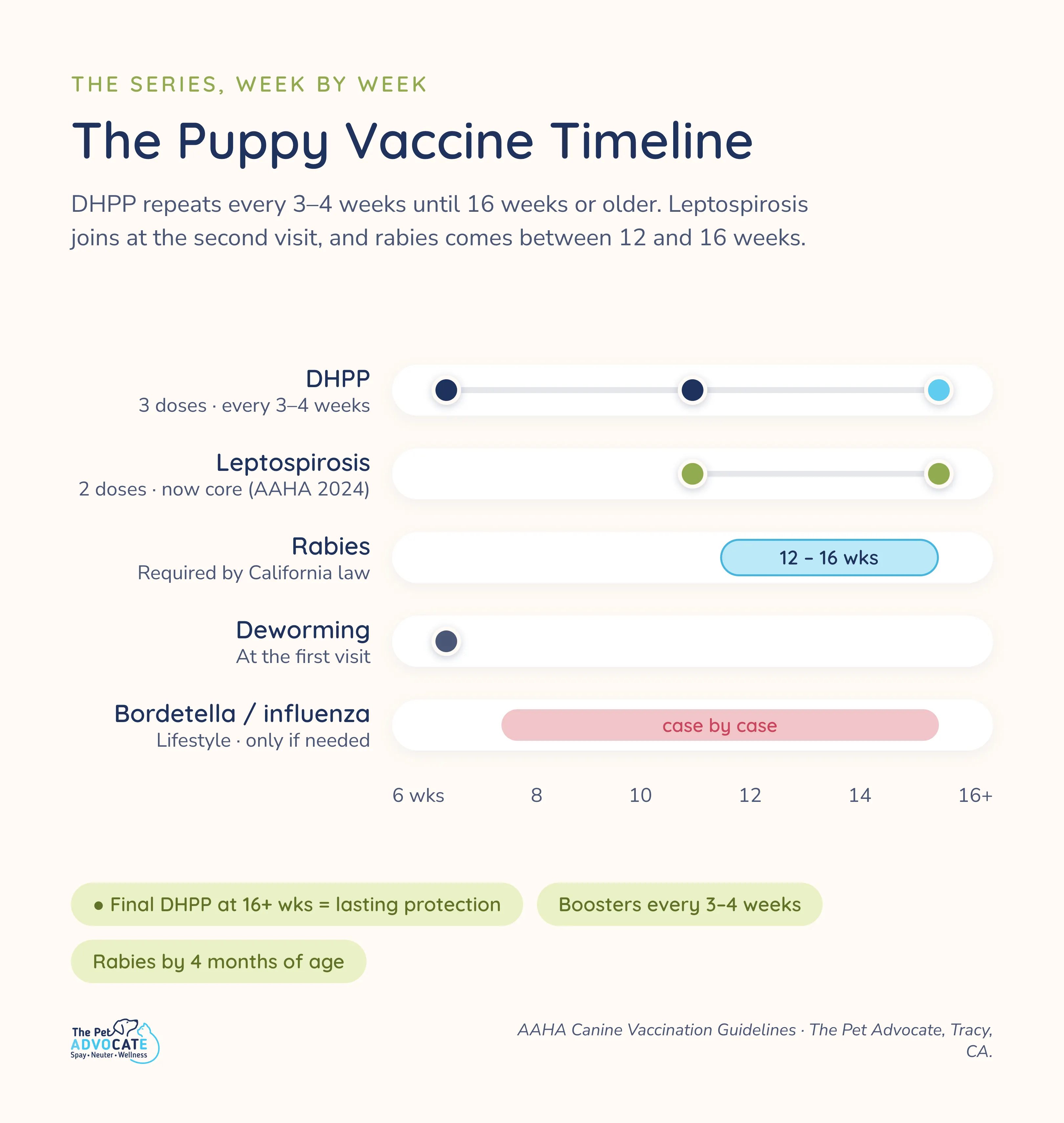 Puppy Vaccine Schedule: Shots, Timing & Cost