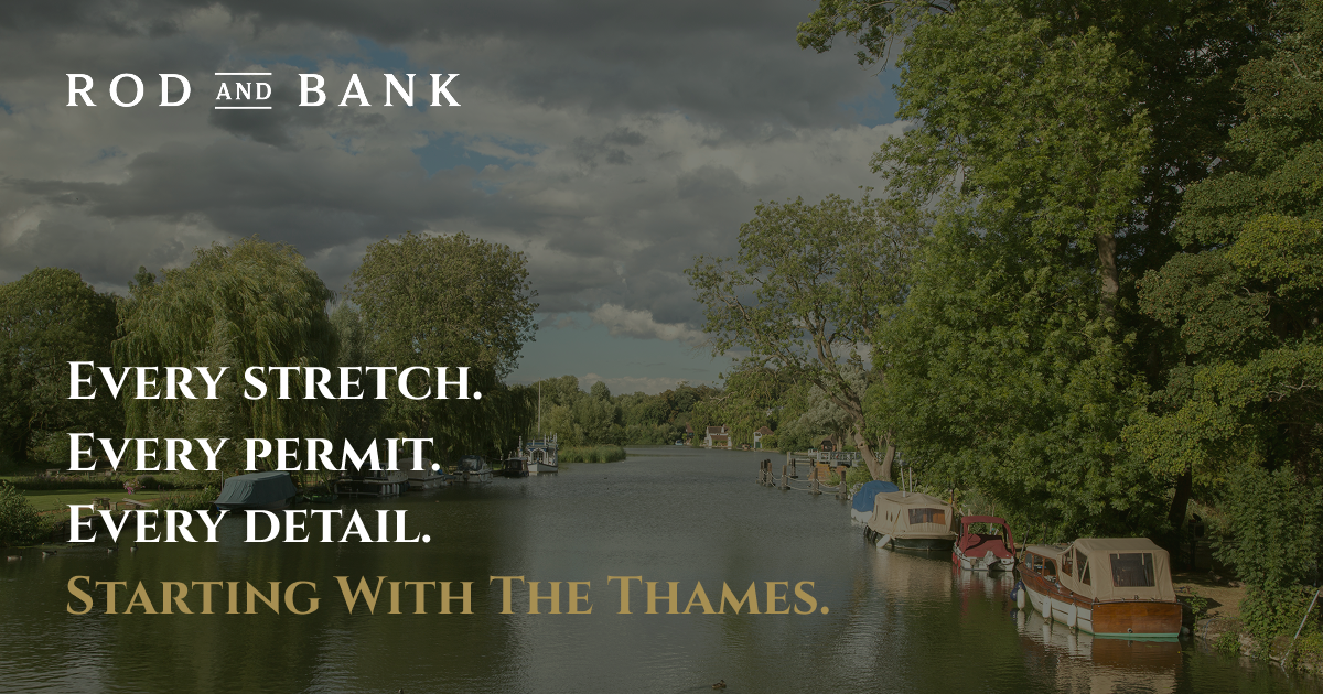 Rod and Bank | The UK's River Fishing Directory